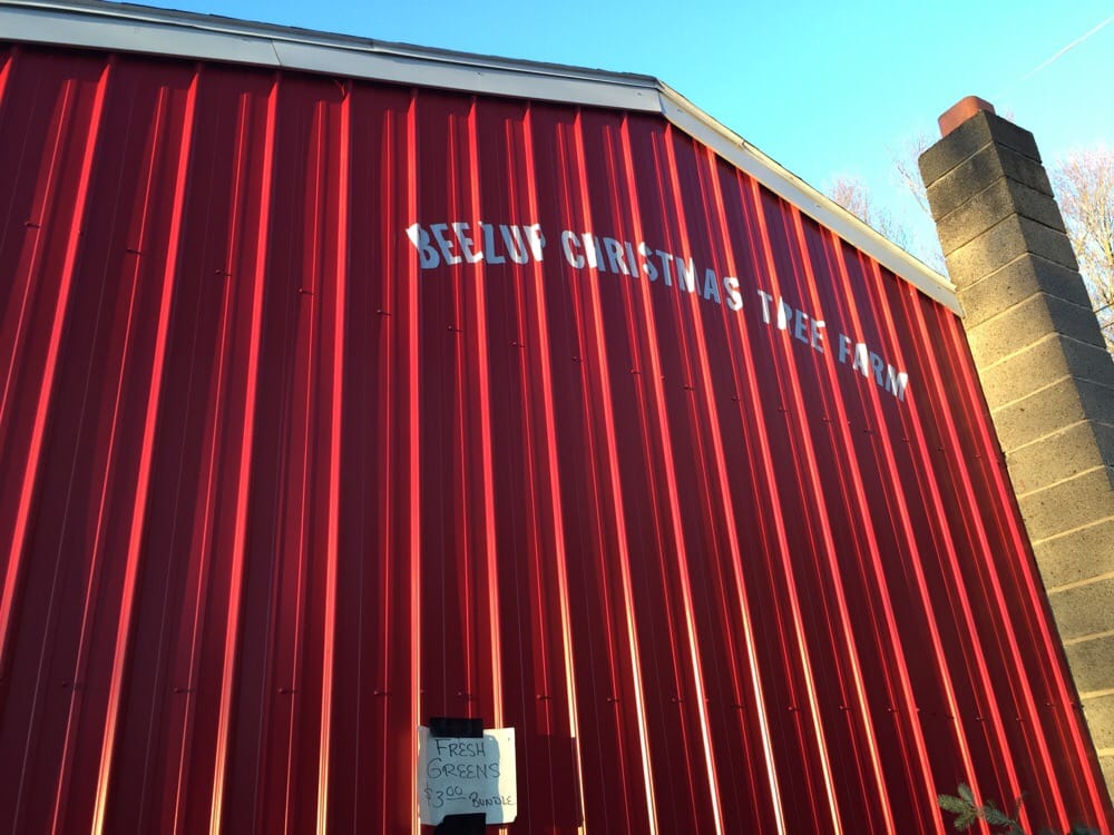 BEEZUP CHRISTMAS TREE FARM - Updated November 2025 - 14079 Upper Maple ...