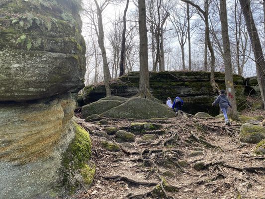 NELSON LEDGES QUARRY PARK - 21 Photos & 48 Reviews - Parks - 12001 ...