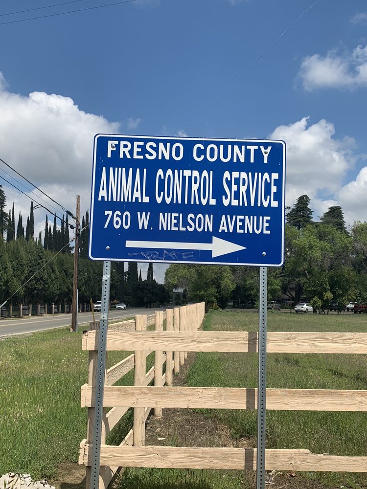 FRESNO HUMANE ANIMAL SERVICE - 10 Photos & 17 Reviews - 1510 West Dan ...