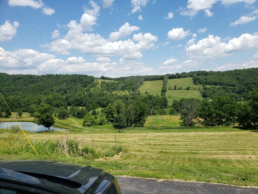 ANTLER RIDGE WINERY - Updated October 2025 - 37 Antler Ridge Ln, Ulster ...