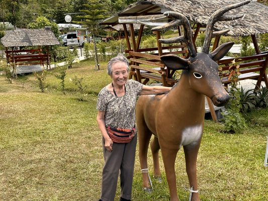 SVD LAUDATO SI’ FARM - 30 Photos - Brgy 08 Holy Spirit Drive, Tagaytay ...