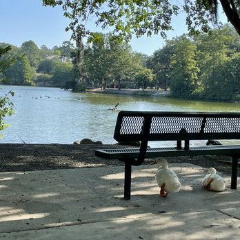 LAKE ELLA PARK - Updated December 2025 - 143 Photos & 51 Reviews - N ...