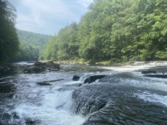 Neversink River Unique Area - Trusted Since 2020 - Updated July 2025 ...