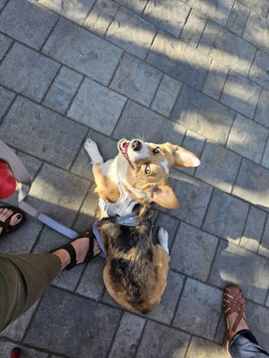 OLD CAZ BEER - Updated December 2025 - 51 Photos & 30 Reviews - 1500 ...