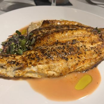 SALT 64 - Updated May 2024 - 230 Photos & 345 Reviews - 6404 E Oak ...