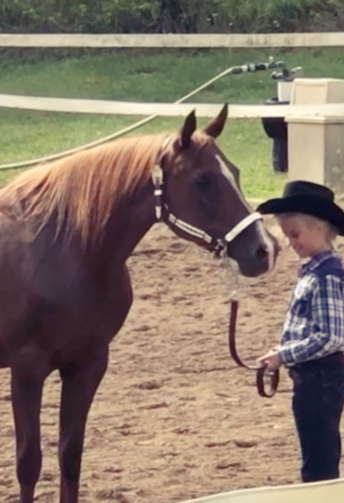 BOULDER EQUESTRIAN - Updated February 2025 - 15379 Howard Rd, Hanover ...