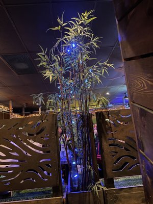 THANG THANG - Updated October 2024 - 857 Photos & 553 Reviews - 7905 ...