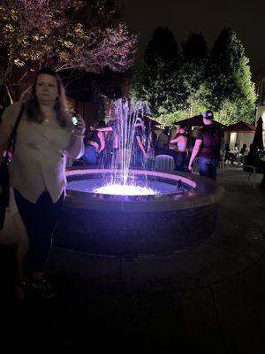 THE MAX - Updated December 2025 - 13 Photos & 108 Reviews - 1417 ...