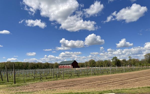 ROSEDALE FARM AND VINEYARD - Updated October 2024 - 189 Photos & 65 ...