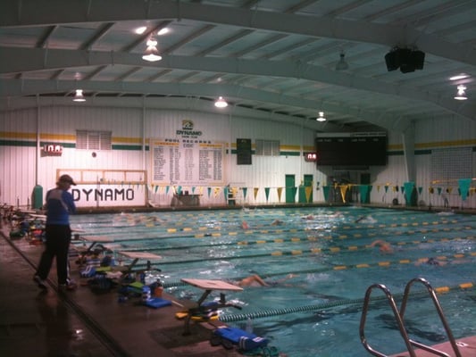 DYNAMO SWIM CLUB - Updated November 2025 - 19 Reviews - 3119 ...