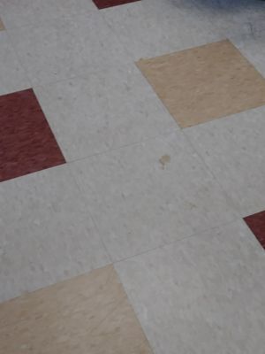 JOHN H STROGER JR HOSPITAL OF COOK COUNTY - Updated January 2026 - 22 ...