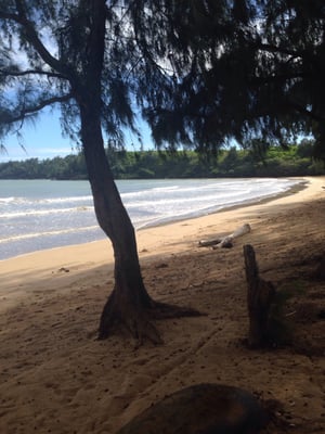 HANAMAULU BEACH PARK - Updated December 2025 - Hehi Rd, Hanamaulu ...
