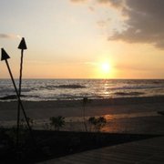 BEACH TREE RESTAURANT BAR AND LOUNGE - 427 Photos & 274 Reviews - 72 ...