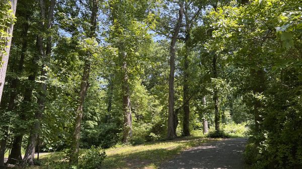 CHRISTOPHER MORLEY PARK - Updated May 2025 - 52 Photos & 30 Reviews ...