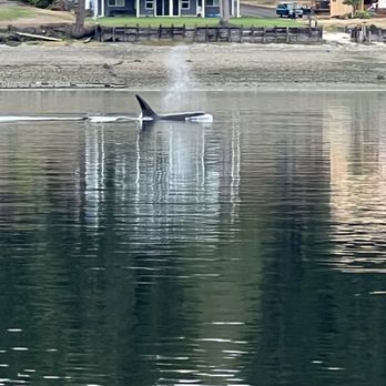 PUGET SOUND EXPRESS - Updated June 2024 - 151 Photos & 66 Reviews - 459 ...