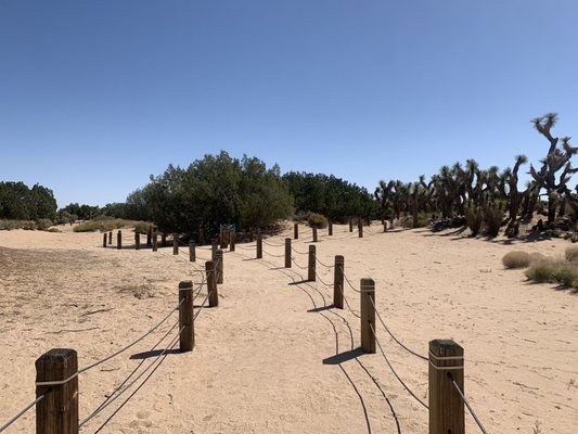 PRIME DESERT WOODLAND PRESERVE - Updated January 2026 - 211 Photos & 62 ...