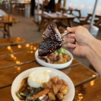 LLAMA QUEEN - Updated March 2025 - 464 Photos & 210 Reviews - 4620 E ...