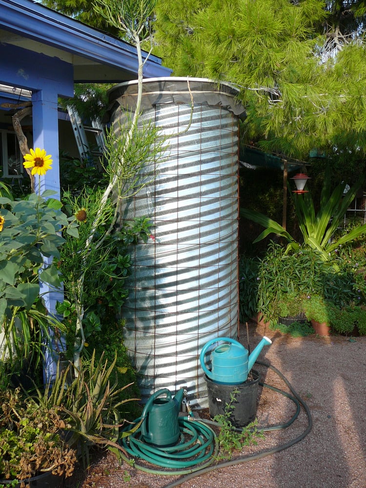 FOUR DIRECTIONS PERMACULTURE - Updated June 2024 - 2652 E Butte Cir ...