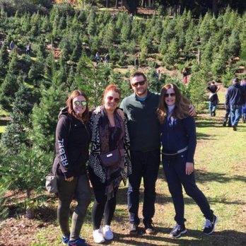 PATCHEN CALIFORNIA CHRISTMAS TREE FARMS - Updated November 2025 - 85 ...