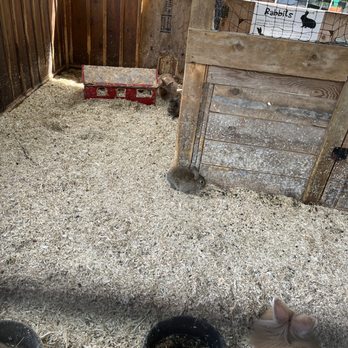 MEADOWS FAMILY FARM - Updated January 2026 - 24 Photos - 12377 248th ...