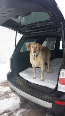 SUBURBAN FORD OF ROMEO - Updated October 2025 - 10 Photos & 68 Reviews ...