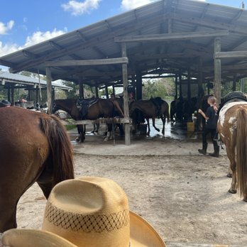 BAR-B-RANCH - Updated September 2025 - 100 Photos & 74 Reviews - 3500 ...