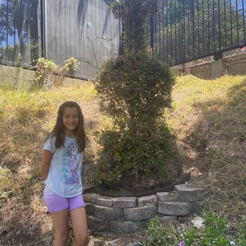 BENNING VIOLINS - Updated December 2025 - 32 Photos & 83 Reviews ...