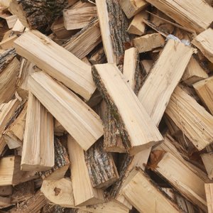 JOSHUA TREE EXPERTS - Updated October 2025 - Request a Quote - 5 Great ...