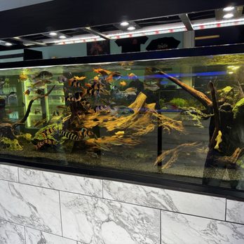 STRICTLY REEF - Updated December 2025 - 122 Photos & 68 Reviews - 907 W ...