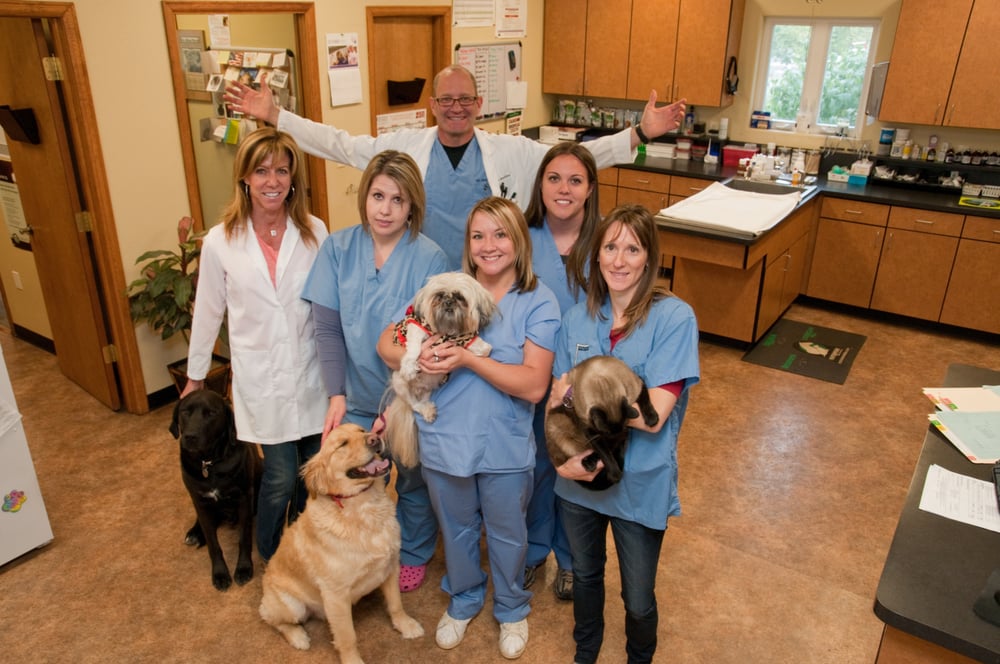 GYPSUM ANIMAL HOSPITAL - Updated October 2025 - 14 Photos & 14 Reviews ...