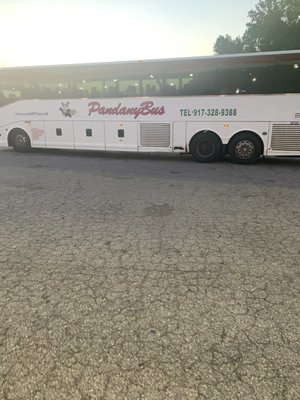 PANDA NY BUS - Updated June 2025 - 41 Photos & 65 Reviews - 28 Allen St ...