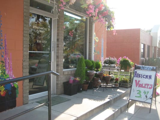 STRATHMORE’S FLORIST - Updated January 2026 - 215 Second Ave ...