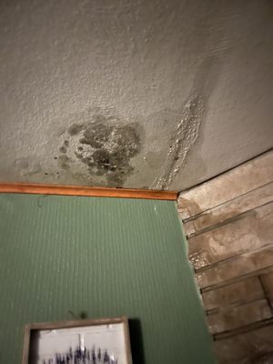 UNIVERSAL PROPERTY & CASUALTY INSURANCE COMPANY - Updated January 2026 ...