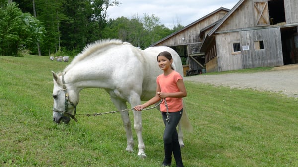 DELANEY STABLES - Updated November 2025 - 12 Photos - 85 Sheddsville Rd ...