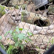 JACKSON ZOOLOGICAL PARK | 92 Photos & 24 Reviews | 2918 W Capitol St ...