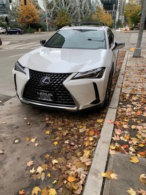 LEXUS OF TACOMA AT FIFE - Updated December 2025 - 115 Photos & 244 ...