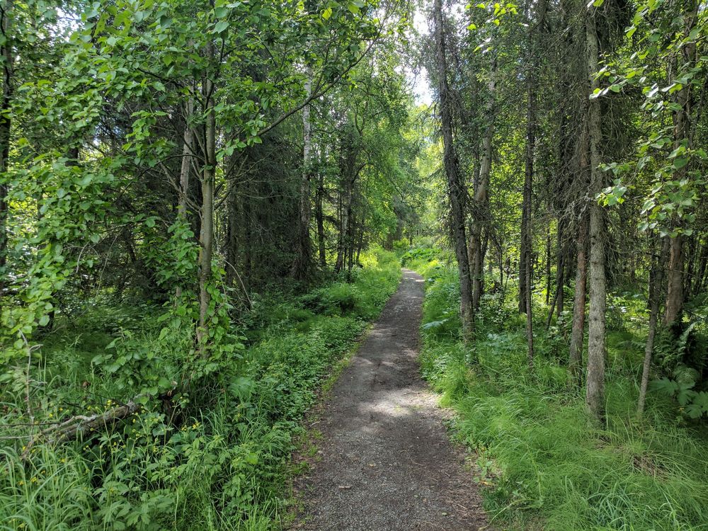 ARNOLD L. MULDOON PARK - Updated September 2025 - 15 Photos - 7600 E ...