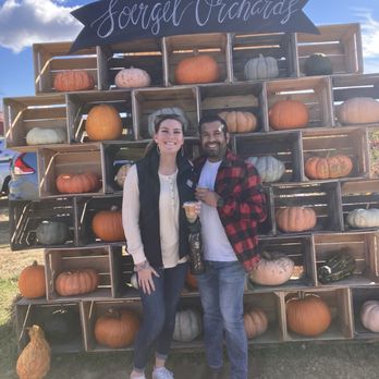 SOERGEL ORCHARDS & GARDEN CENTER - Updated March 2025 - 374 Photos ...