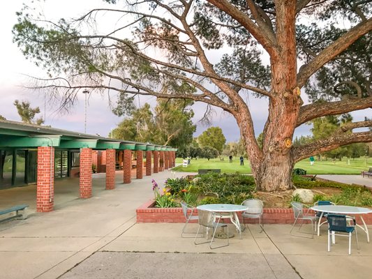 ENCINO MUNICIPAL GOLF COURSE - Updated March 2025 - 60 Photos & 62 ...