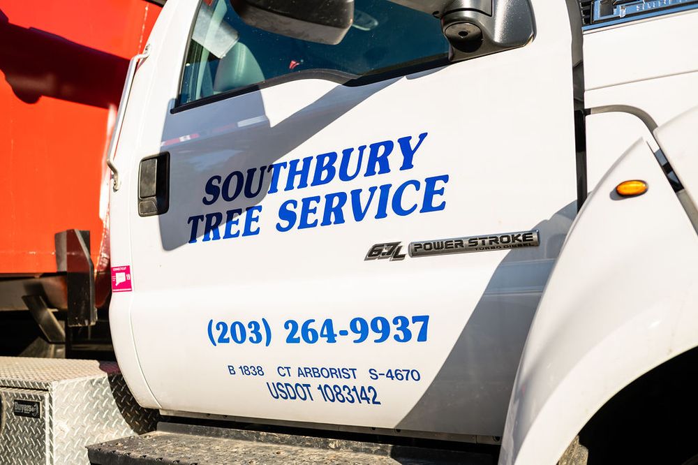 SOUTHBURY TREE SERVICE - Updated October 2025 - 12 Photos & 10 Reviews ...