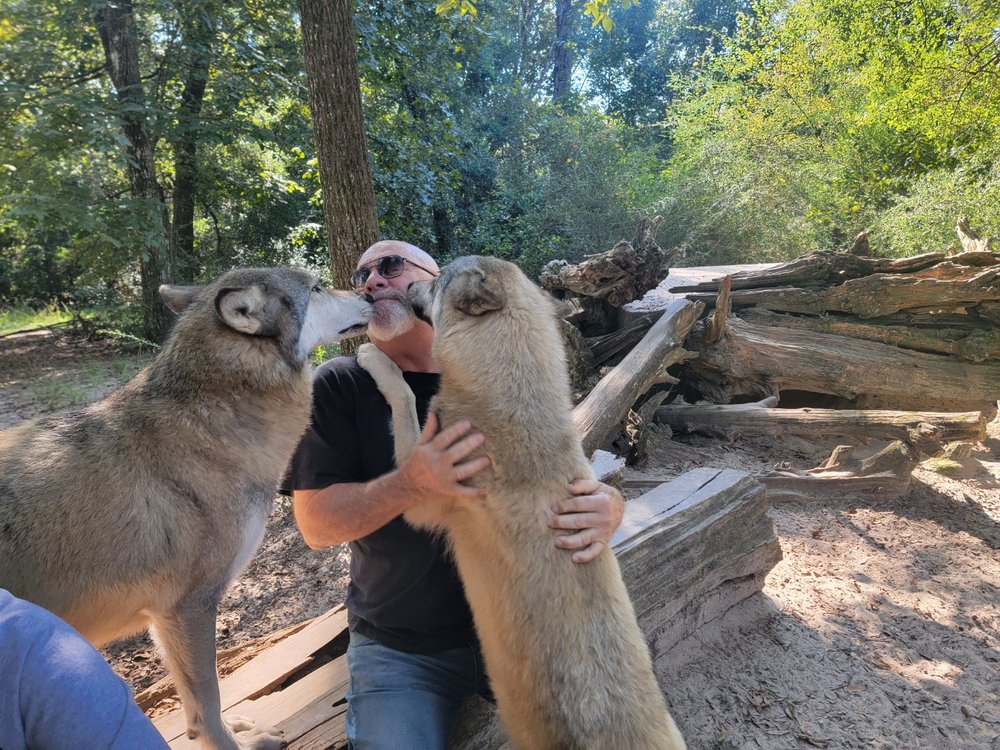 SEACREST WOLF PRESERVE - Updated January 2025 - 106 Photos & 65 Reviews ...