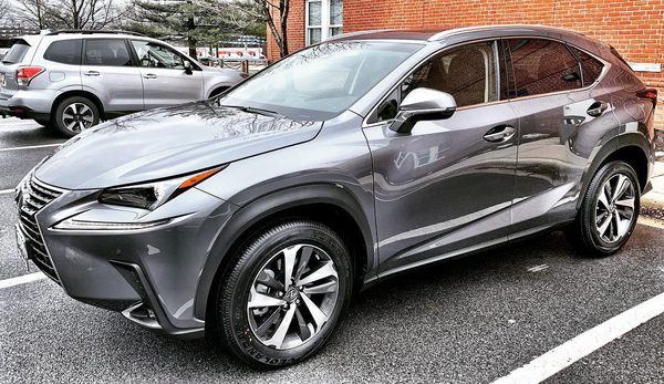 LEN STOLER LEXUS - Updated November 2025 - 46 Photos - 105 Reviews ...