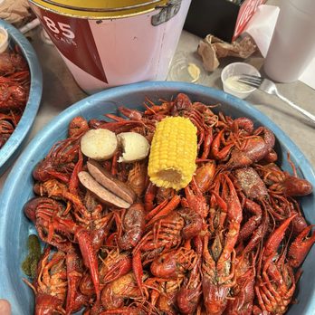 DEWY DEW BUGZ - Updated December 2025 - 40 Photos & 59 Reviews - 9419 ...