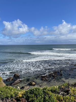 LIGHTHOUSE FIELD STATE BEACH - 488 Photos & 139 Reviews - 701 W Cliff ...