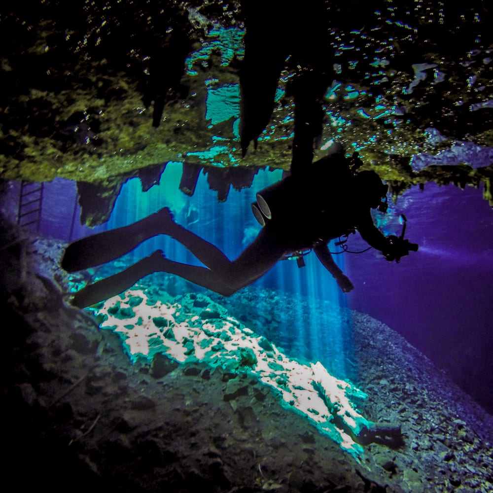 FREEDOM DIVERS MEXICO - Updated August 2025 - Calle 30 301, Mérida ...