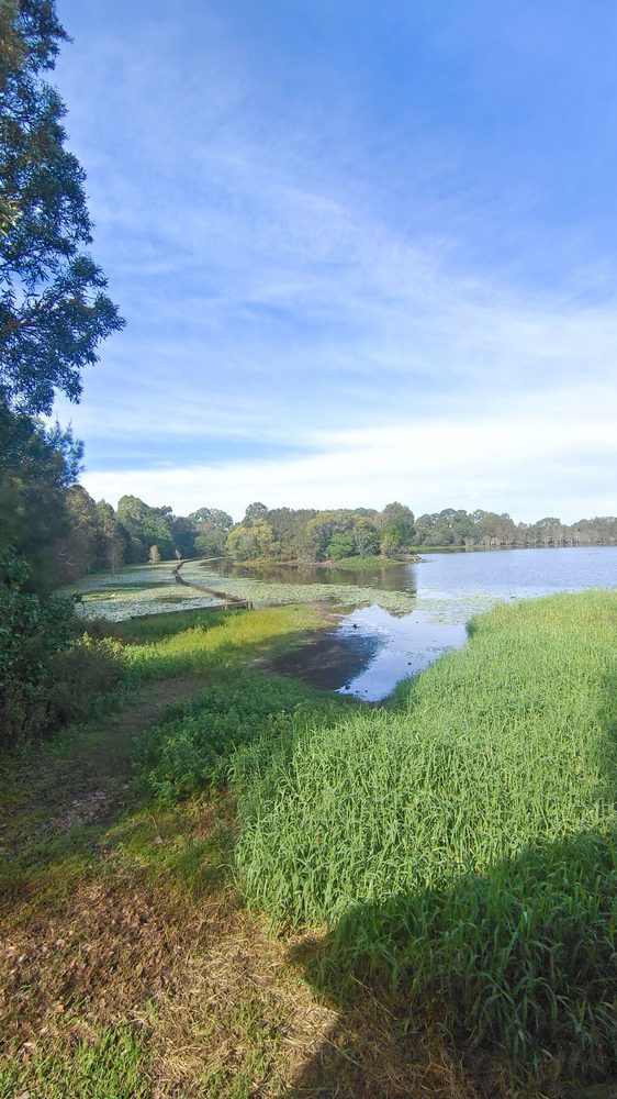 SANDGATE SECOND LAGOON RESERVE - Deagon St, Sandgate Queensland ...