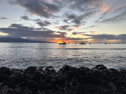 COCO DECK - Updated December 2025 - 467 Photos & 251 Reviews - 1312 ...