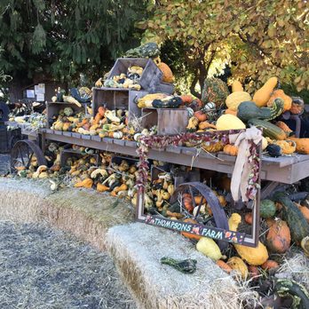 THOMPSON’S FARM MARKET - Updated December 2025 - 137 Photos & 24 ...