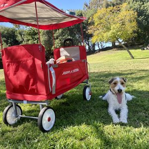 RUSTIC CANYON RECREATION CENTER - TEMP. CLOSED - Updated March 2025 ...
