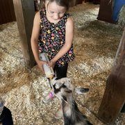 ROSE BRIDGE FARM & SANCTUARY - 112 Photos & 47 Reviews - 1314 N ...